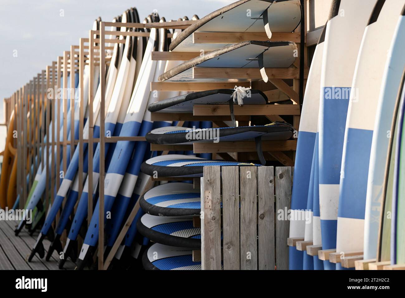 Surfboards , Collection vintage wooden surfboard Stock Photo - Alamy