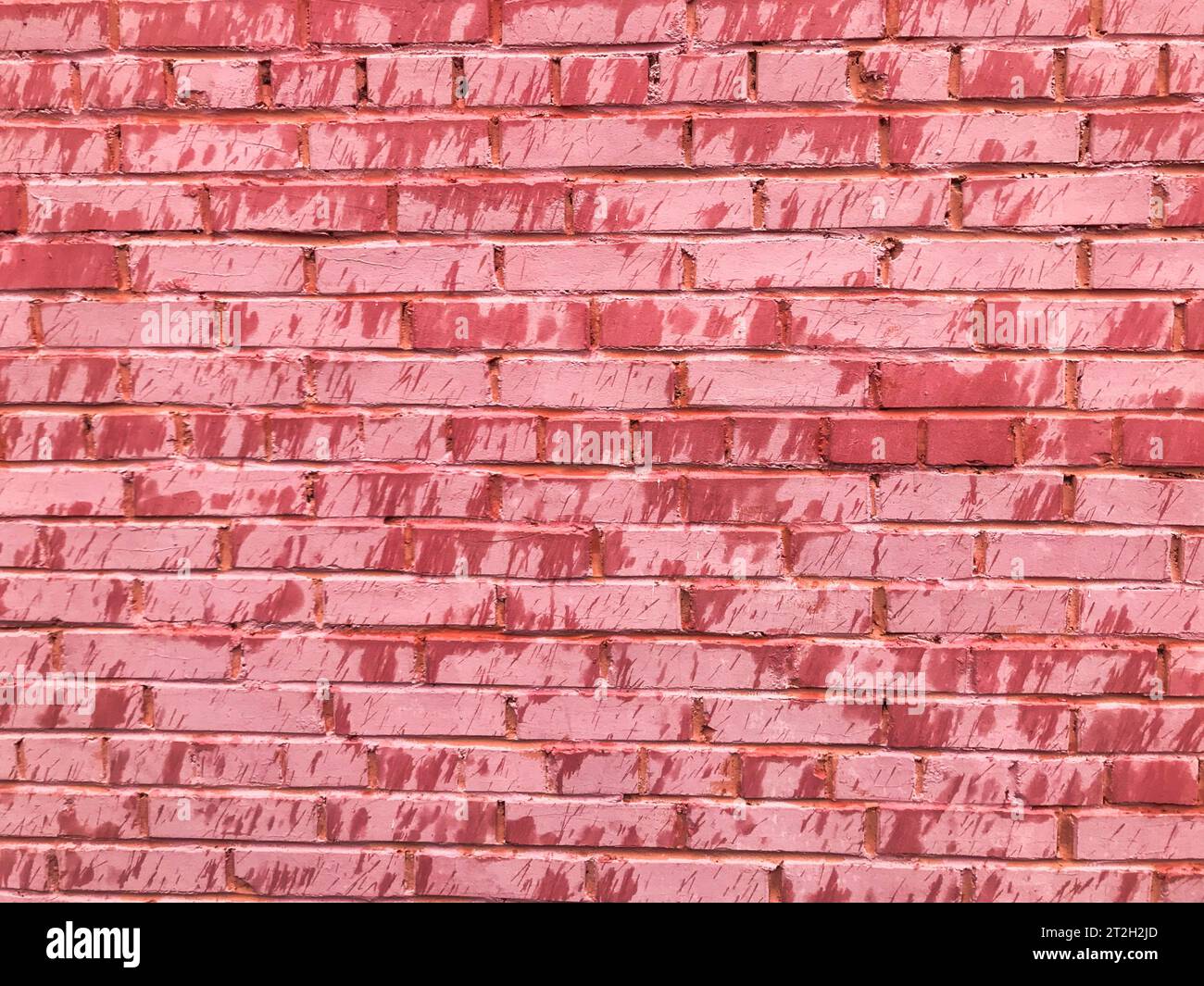 Texture of a beautiful unique unusual pink tender old cracked brick ...
