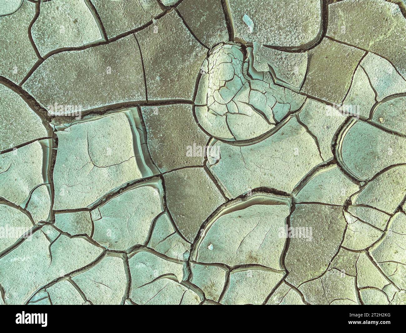 mud puffed up on the road. wet, wet earth. the soil layer is covered ...