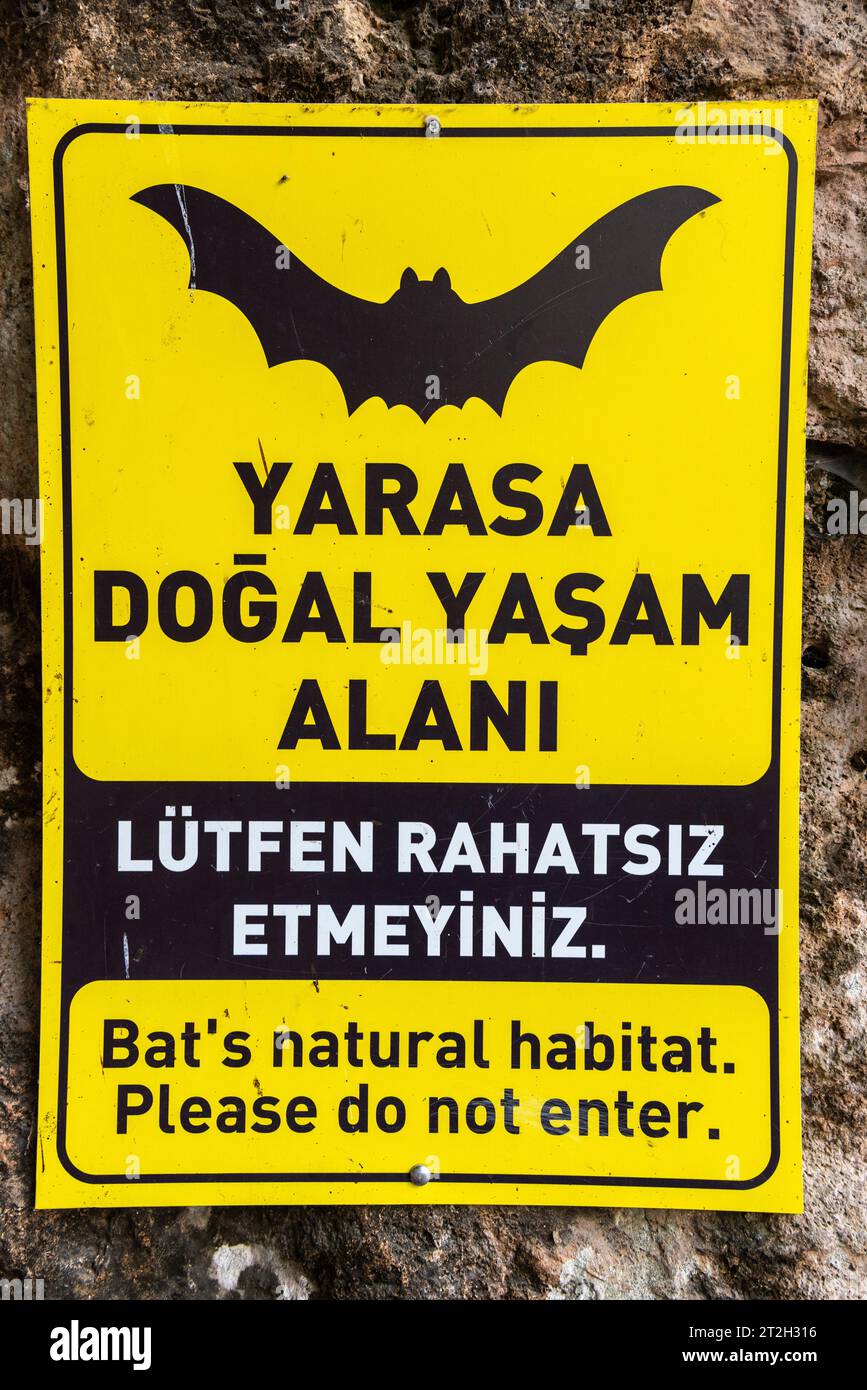 Bat animal city hi-res stock photography and images - Alamy