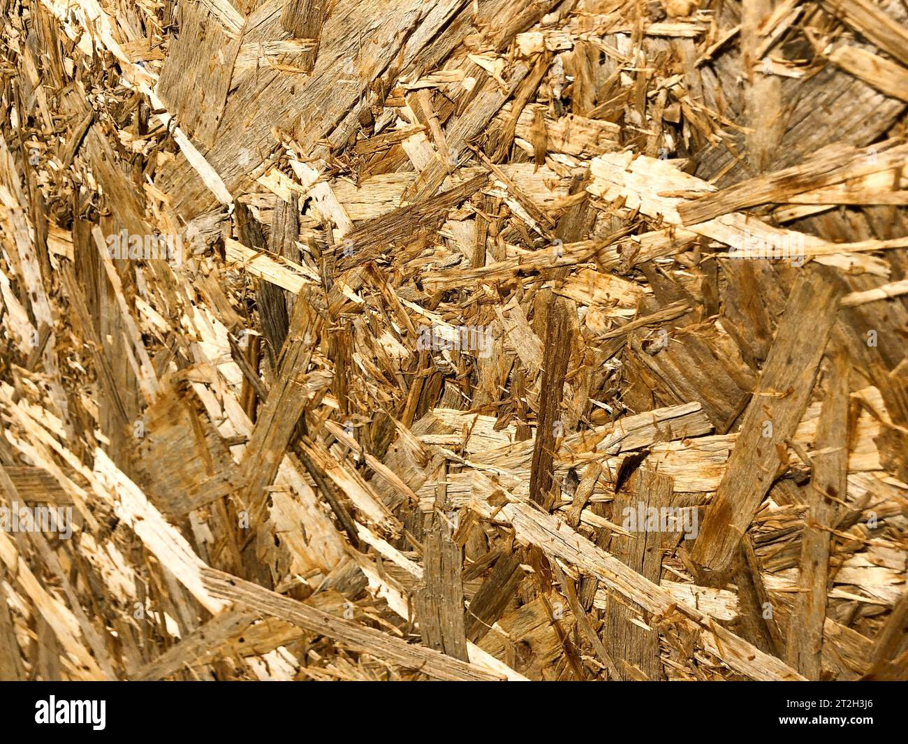 Textures from an angle of wooden yellow building material from shavings ...