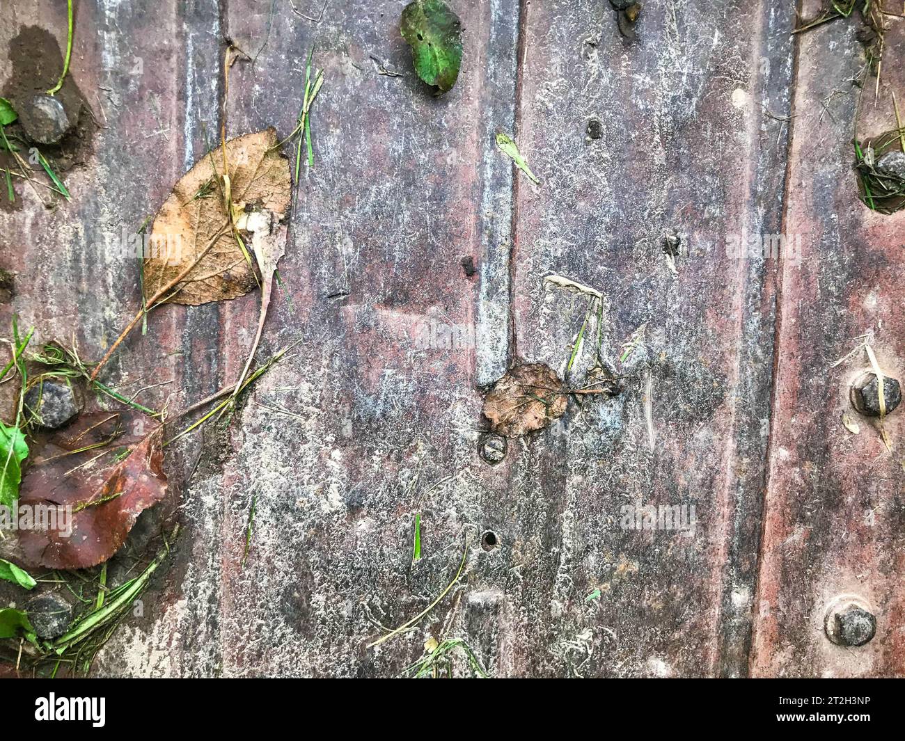 texture, natural background. pink metal trolley. plants and herbs are ...