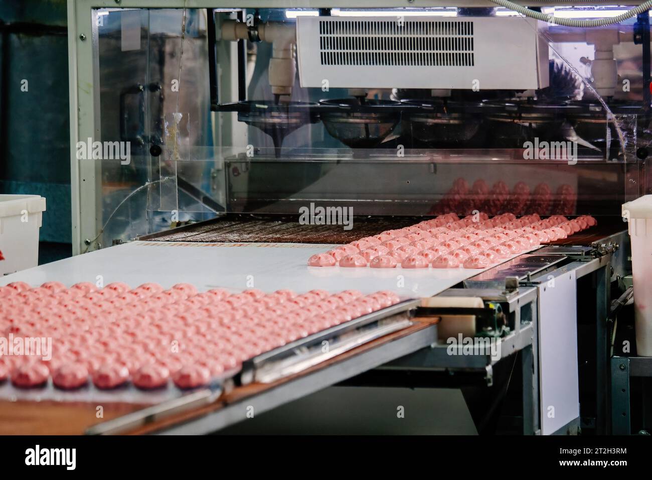 Confectionery factory. Zephyr and marshmallows forming process Stock ...