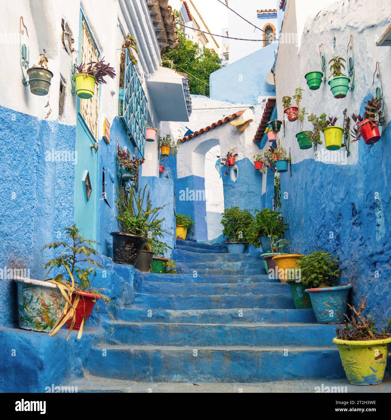 Chefchaouen town in Morocco, known as the Blue Pearl, famous for its ...