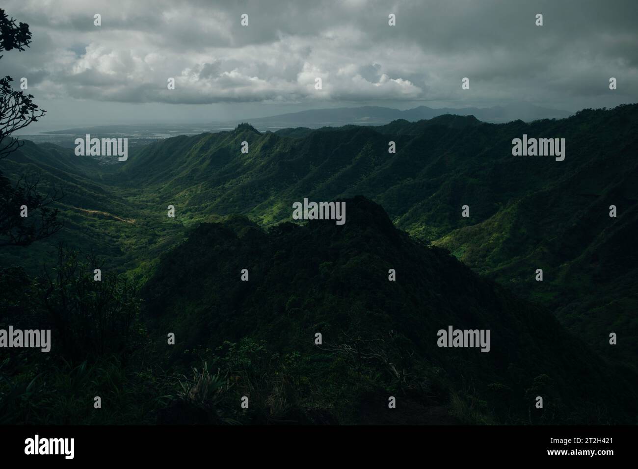 Mountain top views in Oahu. Dirt trail on ridgeline looking back down ...