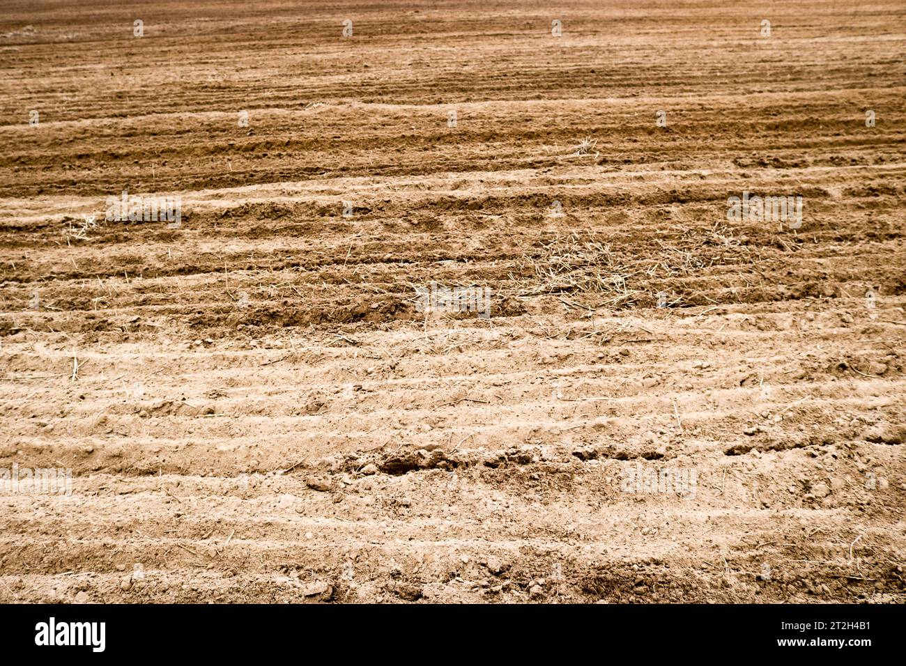 Texture of brown dug up dry ground with beds, sand strips background ...