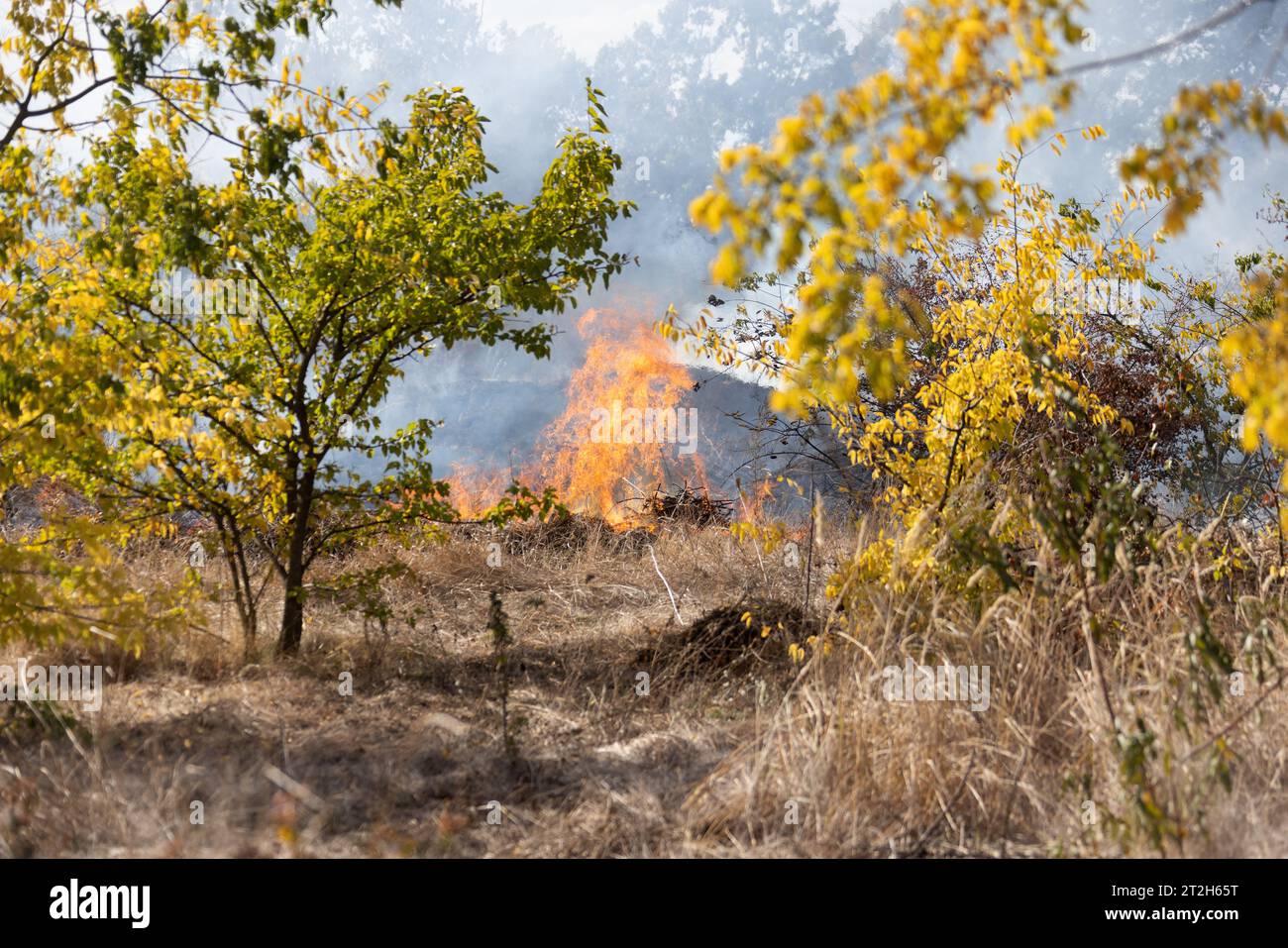 steppe fires during severe drought completely destroy fields. Disaster ...