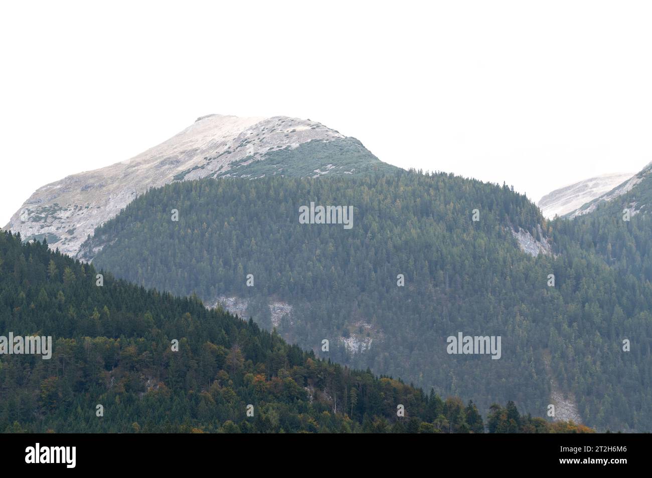 Mountain view with trees in Autumn Stock Photo - Alamy