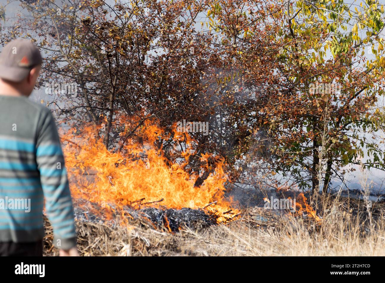 steppe fires during severe drought completely destroy fields. Disaster ...