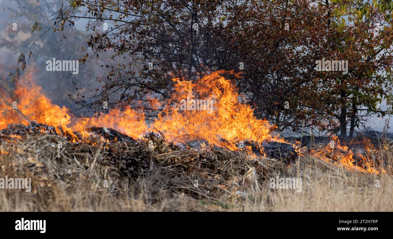 steppe fires during severe drought completely destroy fields. Disaster ...