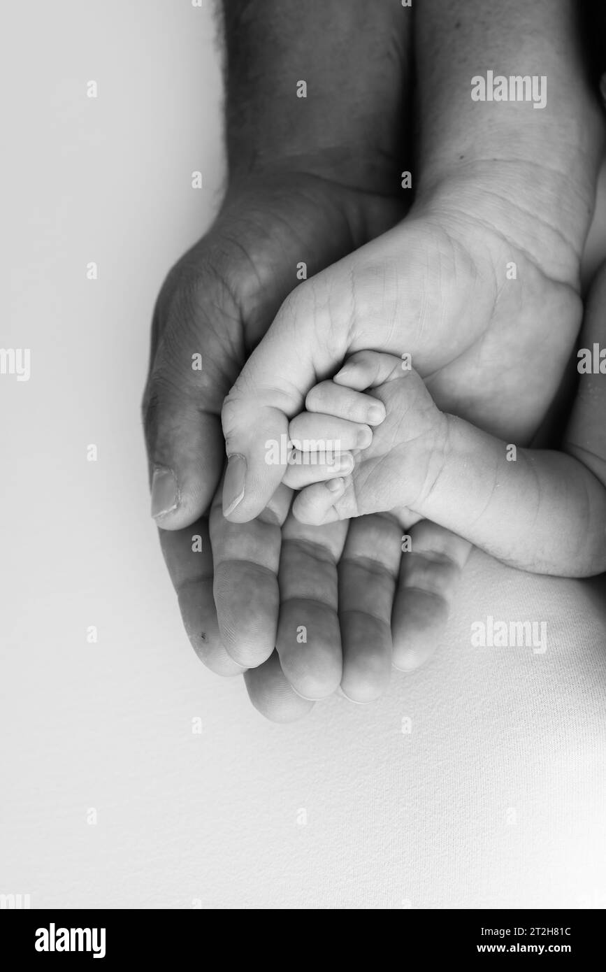 Small newborn hand with tiny fingers. The palm of parents, father and ...