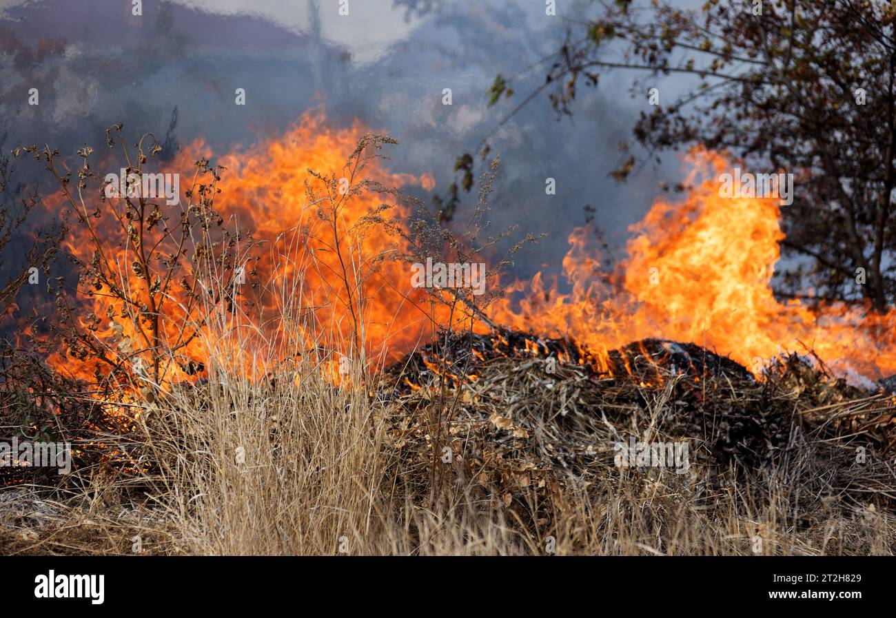 steppe fires during severe drought completely destroy fields. Disaster ...