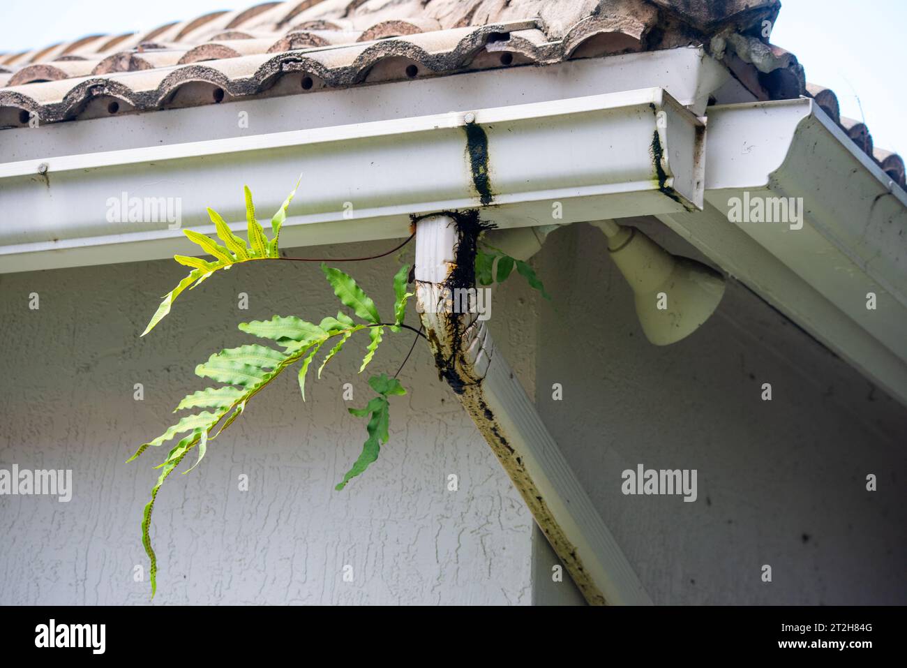 Broken gutters hi-res stock photography and images - Alamy