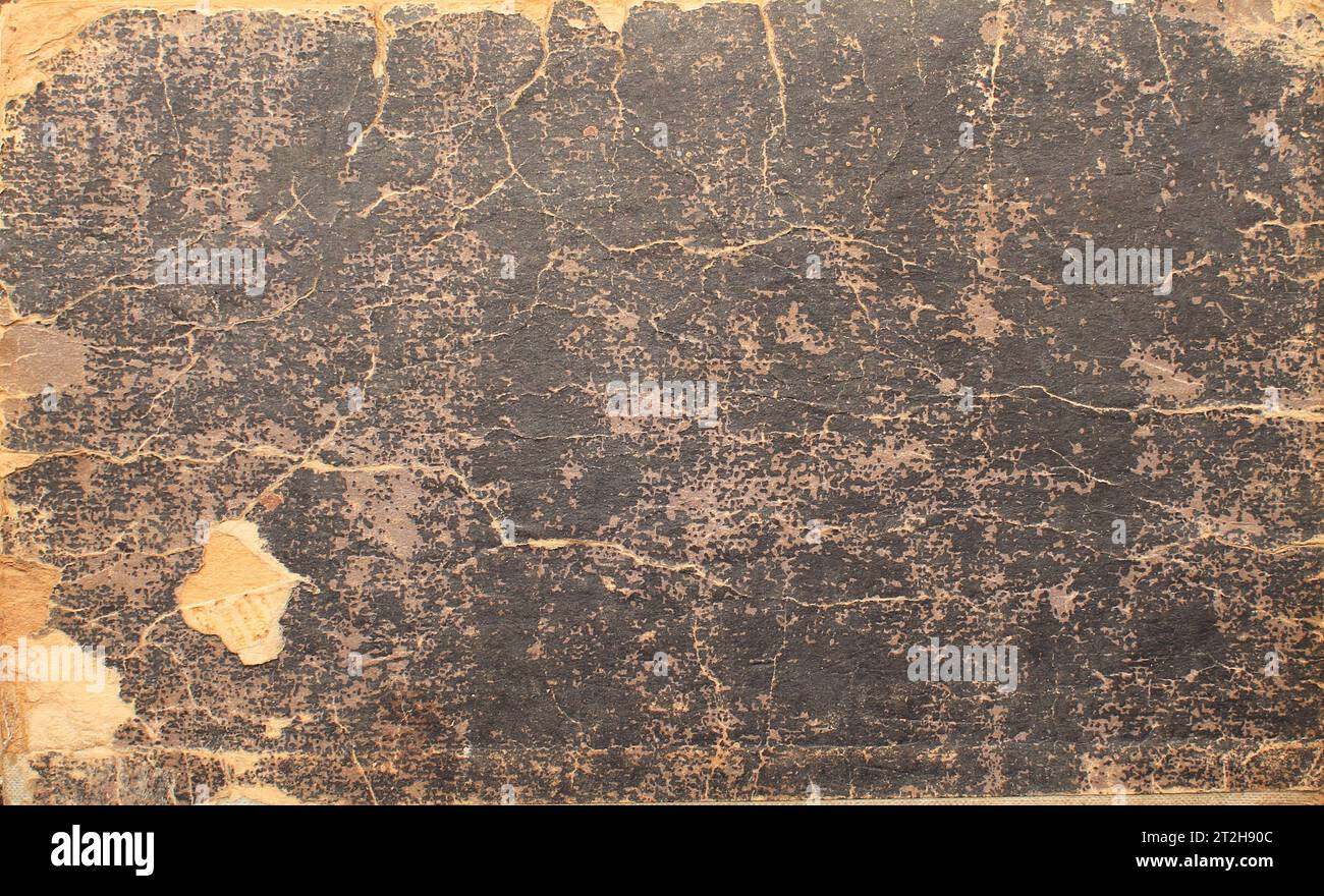 natural color Skin material fashion design wallpaper. black wall ...