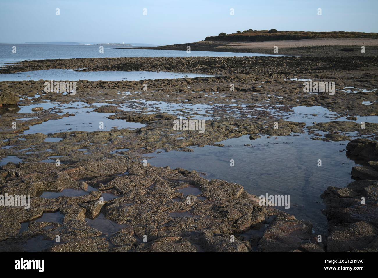 Alfredo de marisco hi-res stock photography and images - Alamy