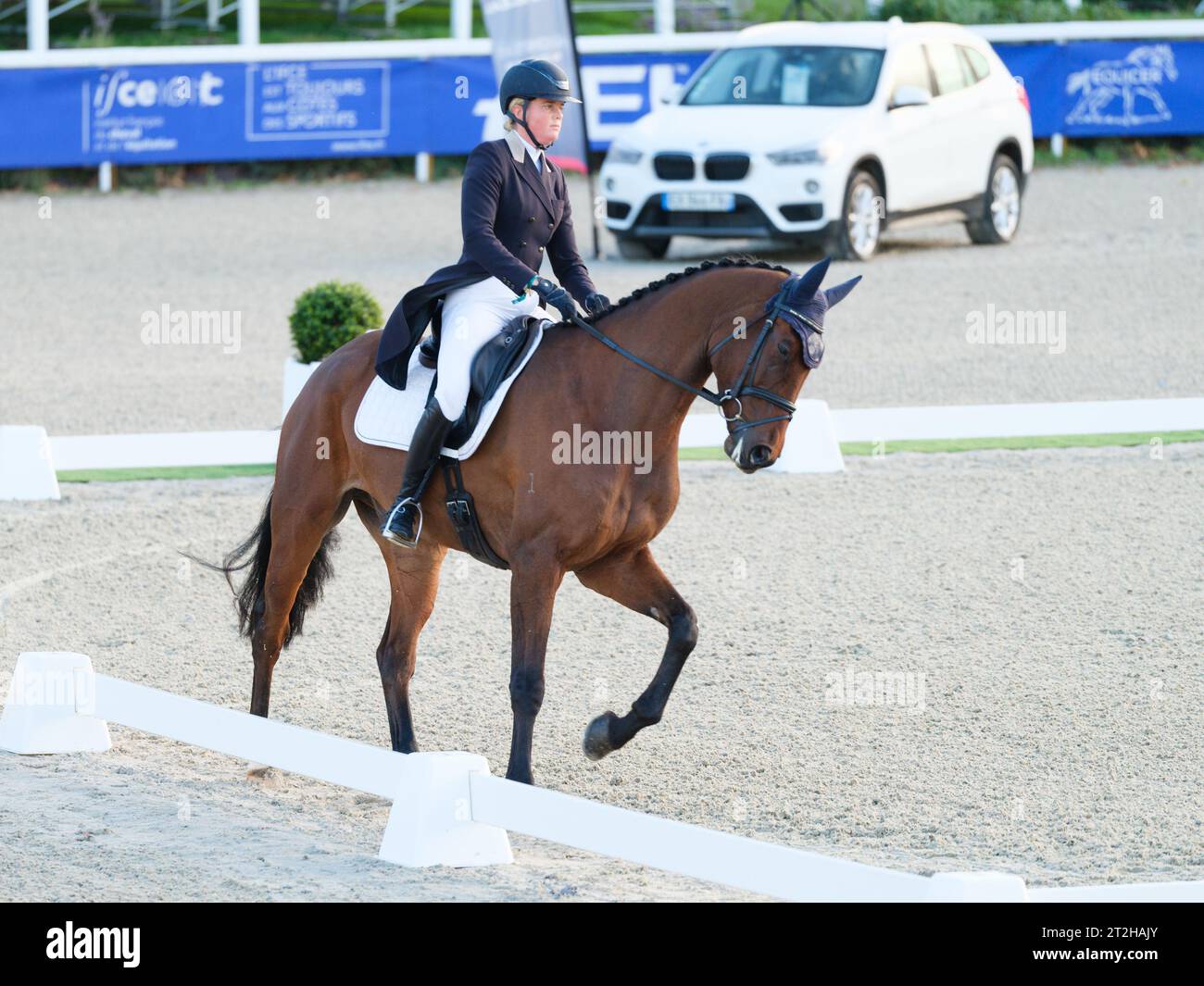 Isabel ENGLISH of Australia with Elysian Fields Prado during the ...