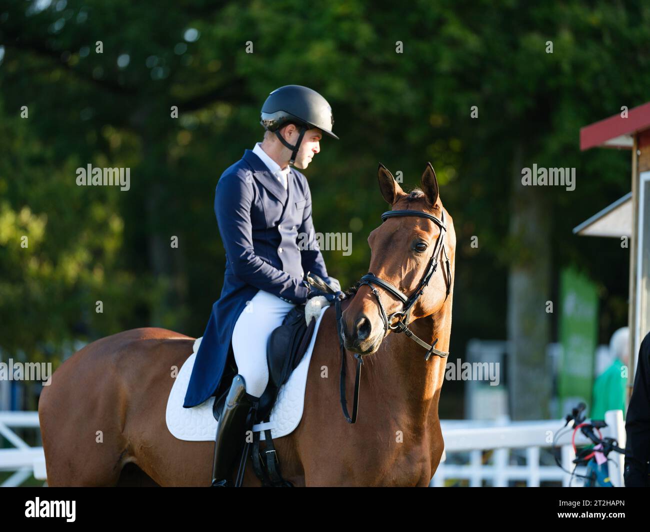 Wouter DE CLEENE of Belgium with Ragdoll De Tamise during the dressage ...