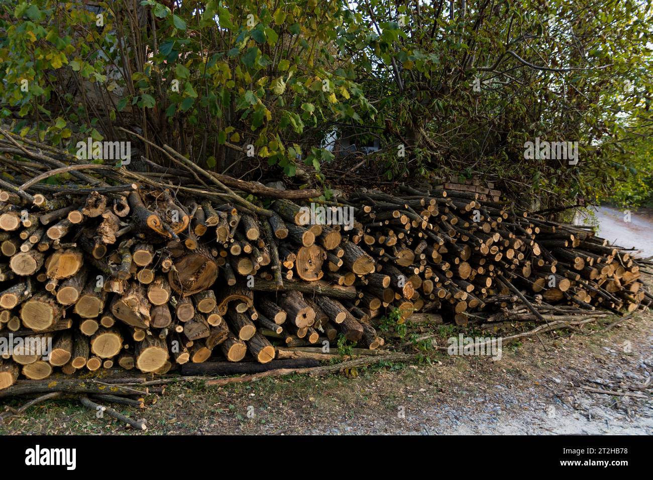 Neatly stacked logs lined up along the village road, ready for further ...