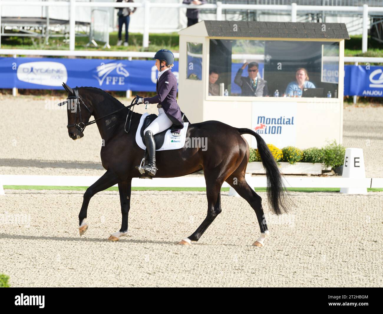 Sian COLEMAN of Ireland with Diamond Mistress during the dressage test ...