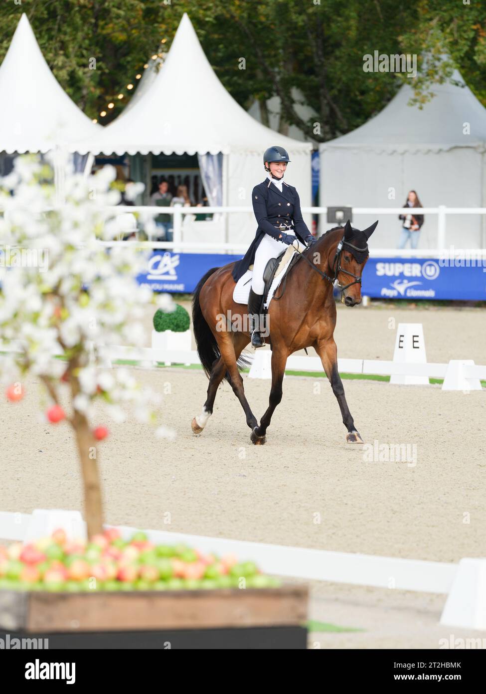 Johanna MARLOH of Germany with Js Chakalaka during the dressage test at ...