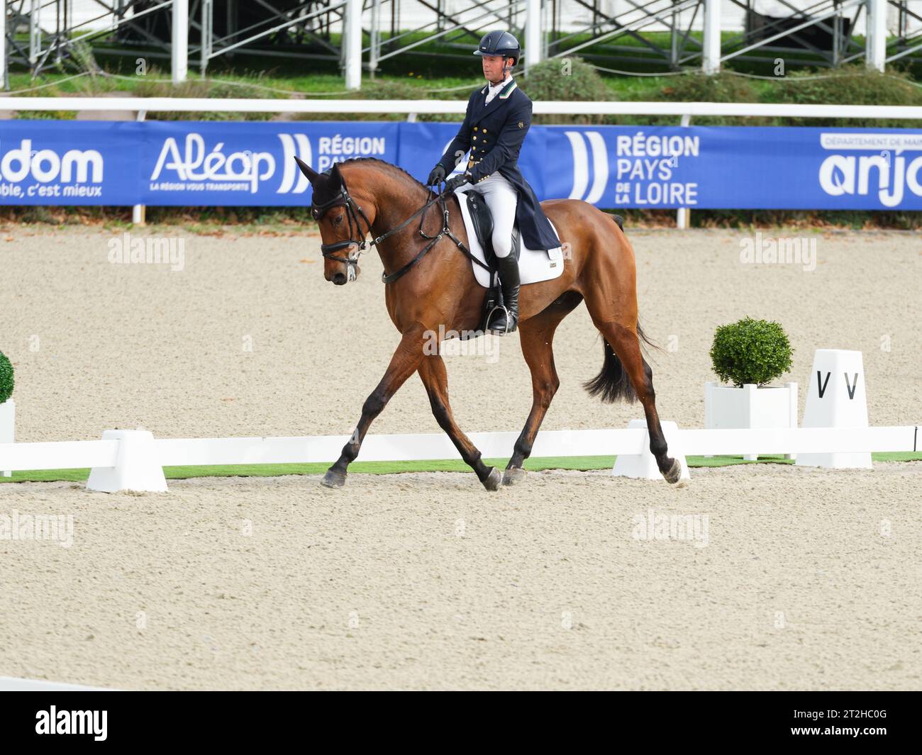 Kevin MCNAB of Australia with Faro Imp during the dressage test at the ...