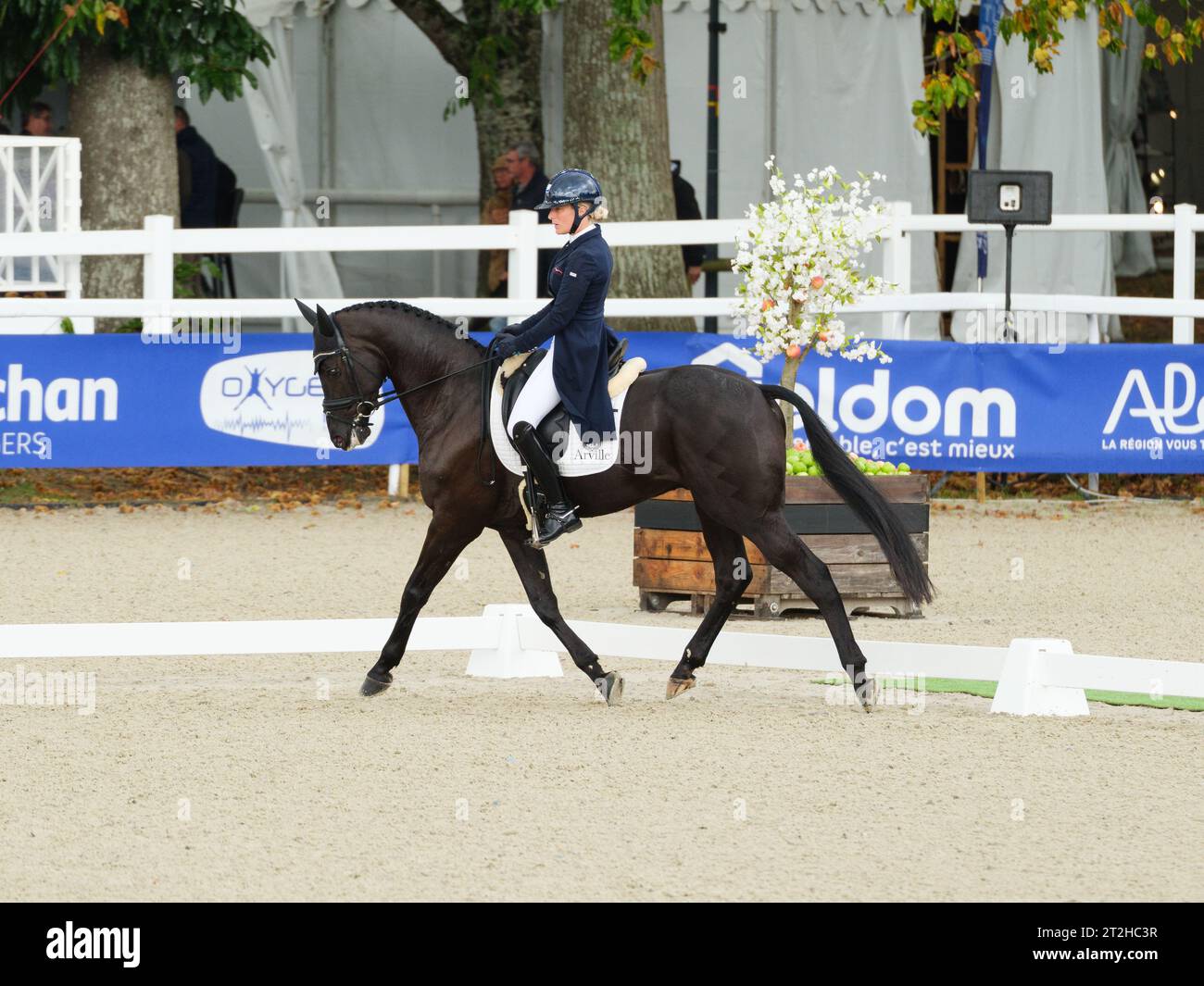 Lara DE LIEDEKERKE - MEIER of Belgium with Quintus during the dressage ...