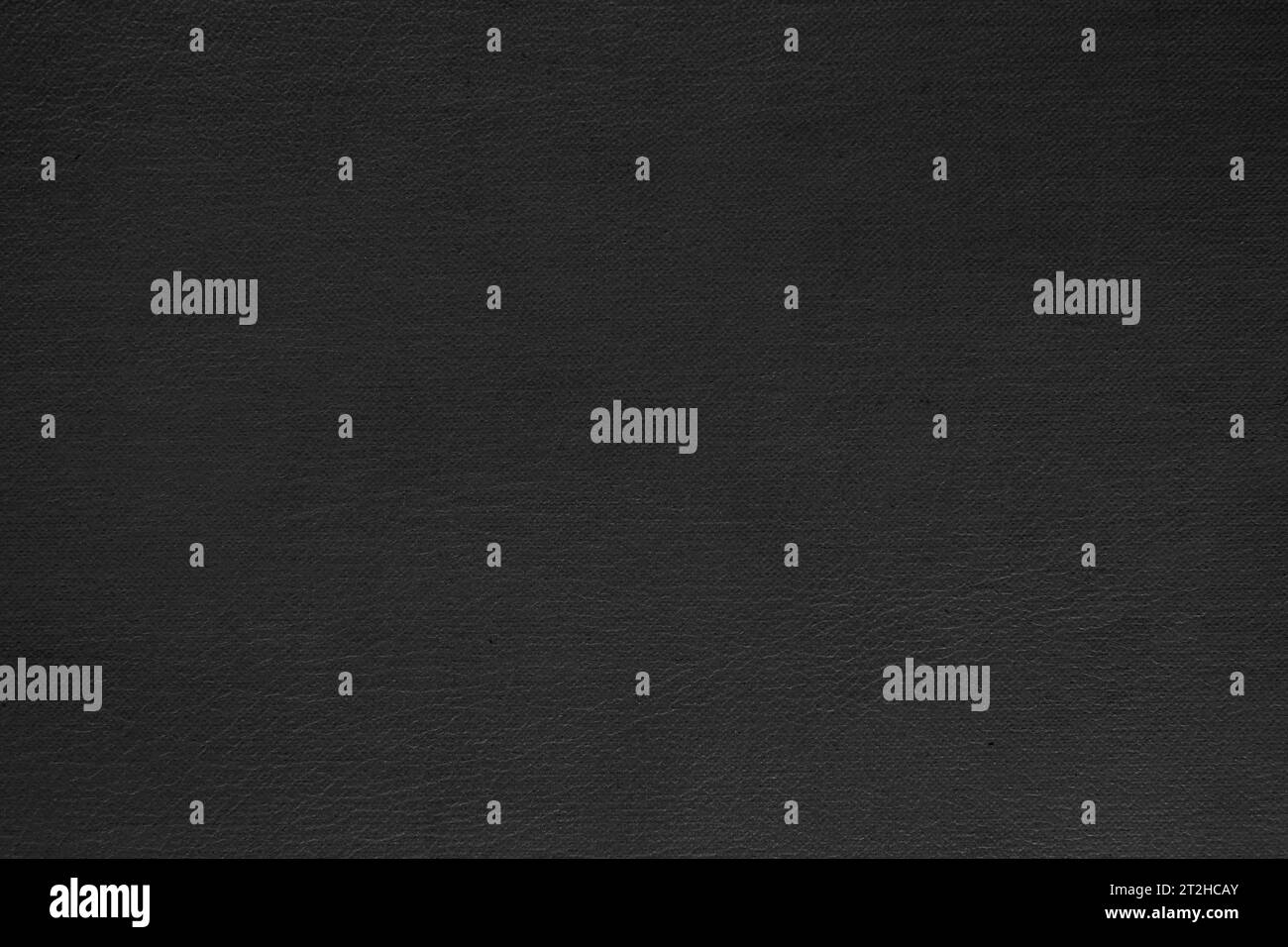 natural color Skin material fashion design wallpaper. black wall ...