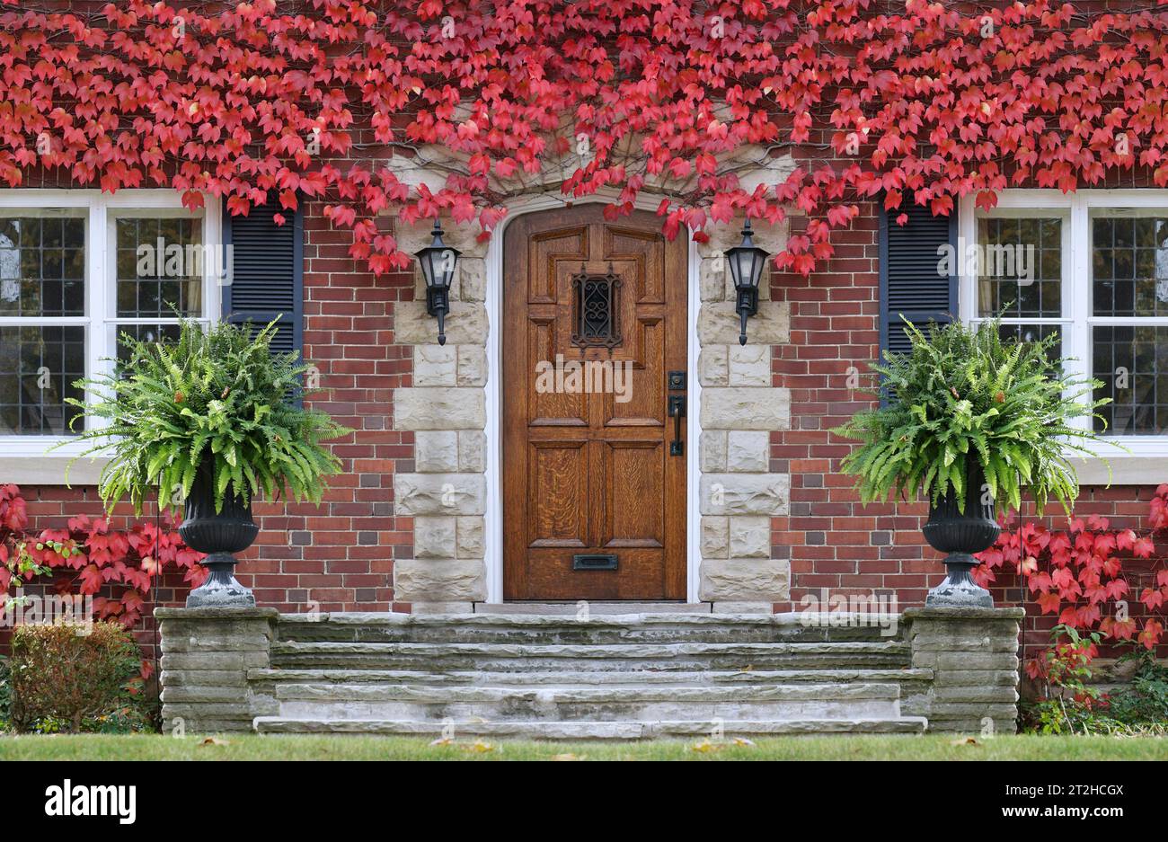 House with elegant wood grain front door and red ivy in fall Stock ...