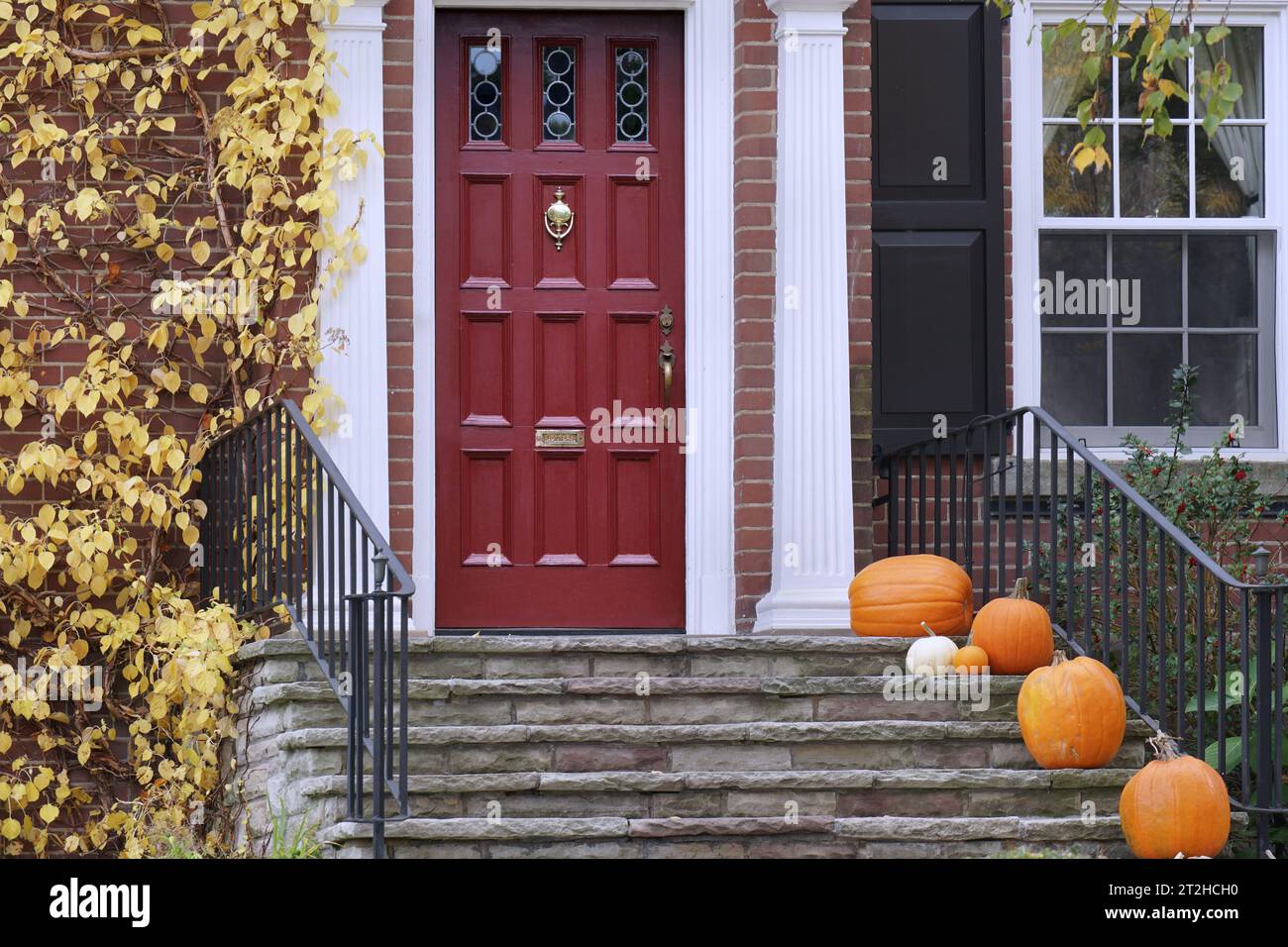 Front steps with pumpkins for fall decorations Stock Photo - Alamy