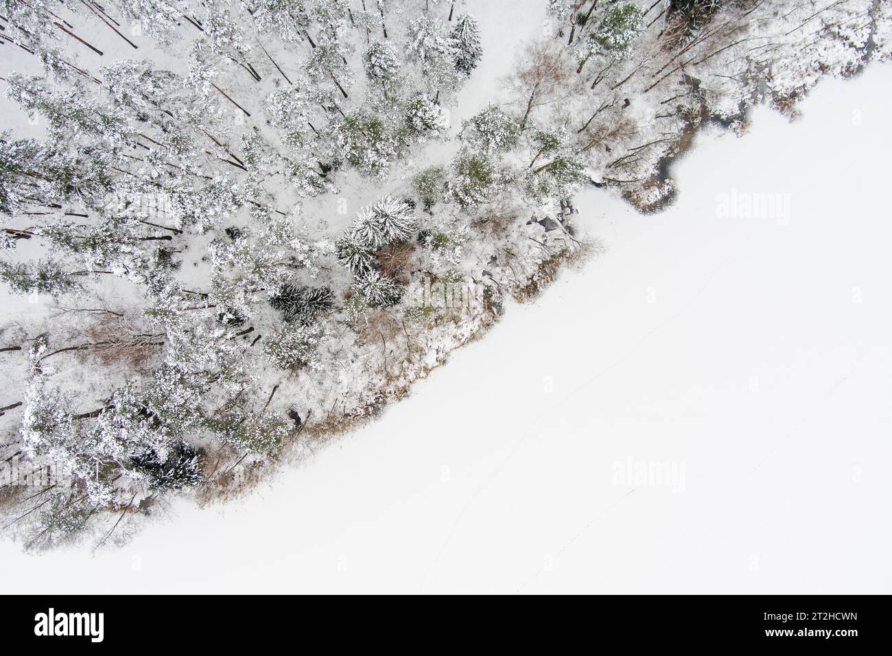 Beautiful aerial top-down view of snow covered pine forests and a ...