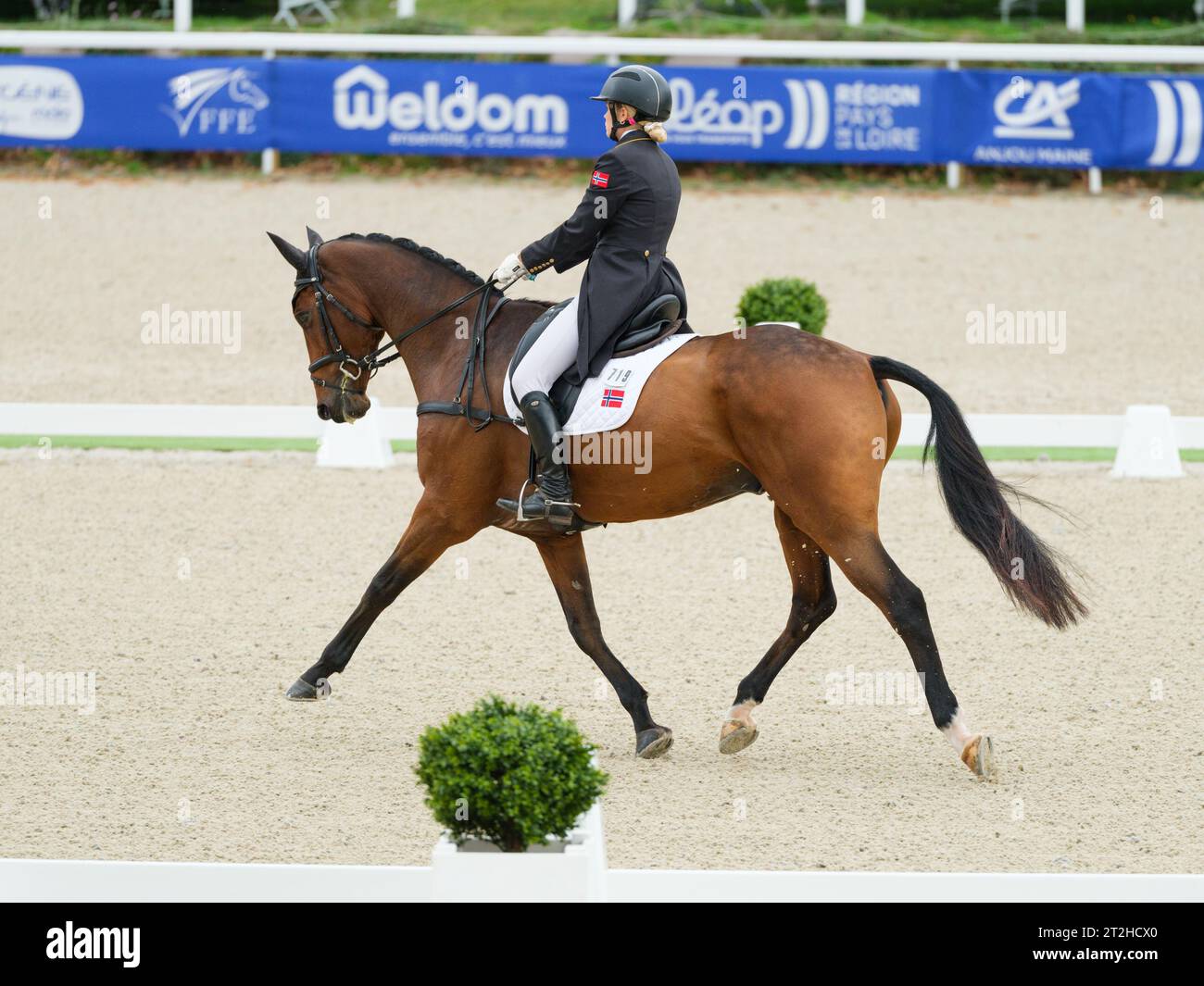 Yasmin Olsson SANDERSON of Norway with Cos Me Will during the dressage ...