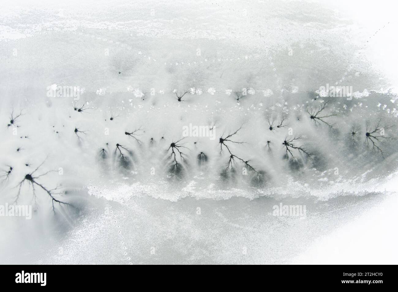 Aerial top-down winter view of frozen lake surface, ice texture with ...