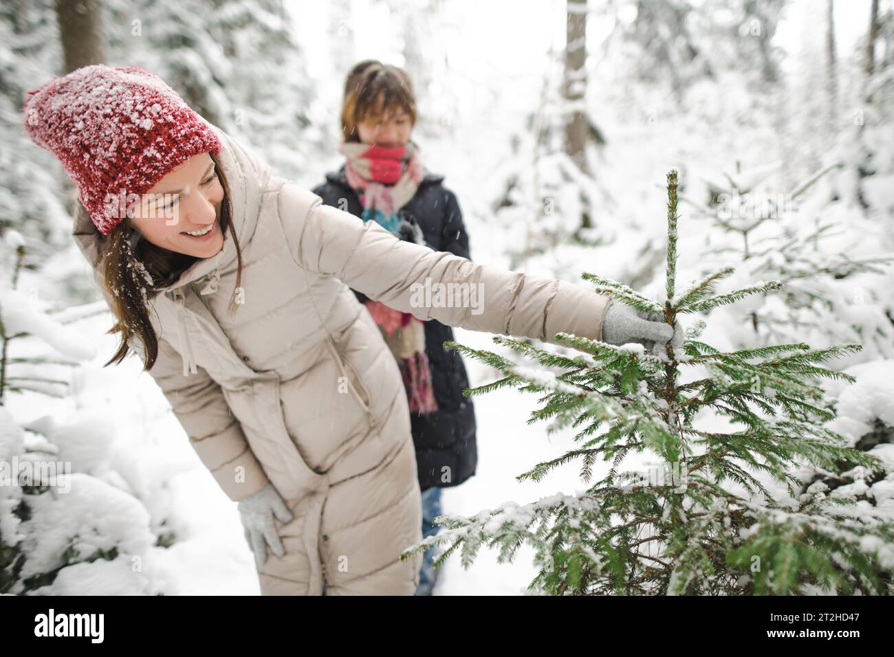 Cute teen girl and her mother having fun on a walk in snow covered pine ...