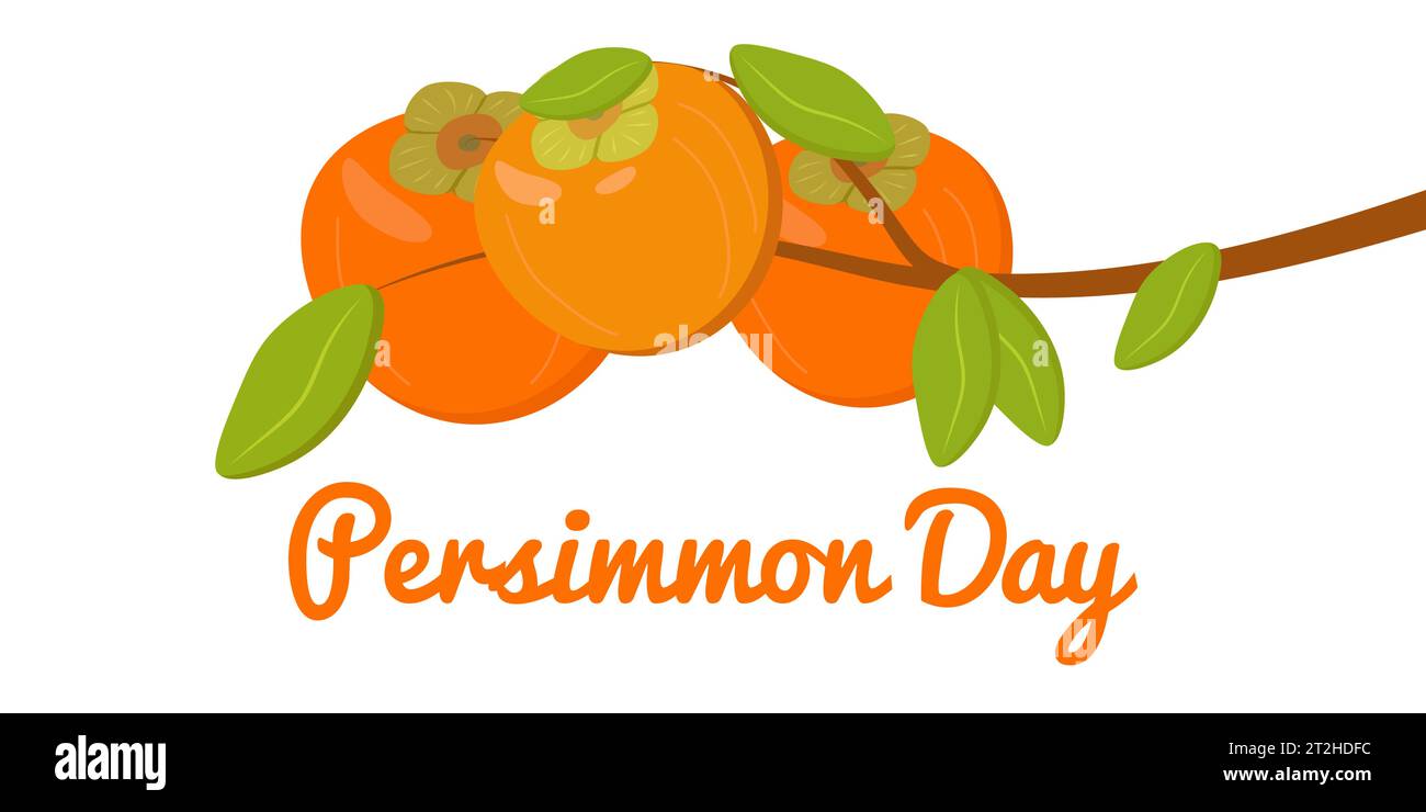 Persimmon Day illustration on a white background. Branch with persimmon ...