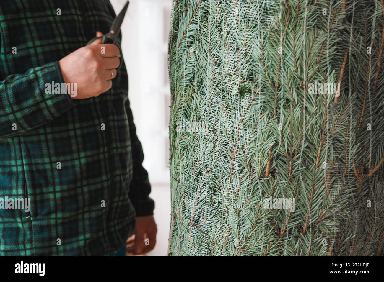 Unpacking of a christmas tree hi-res stock photography and images - Alamy