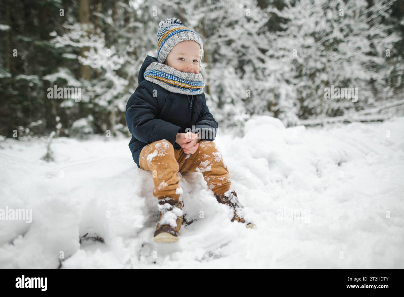Cute toddler boy having fun on a walk in snow covered pine forest on ...
