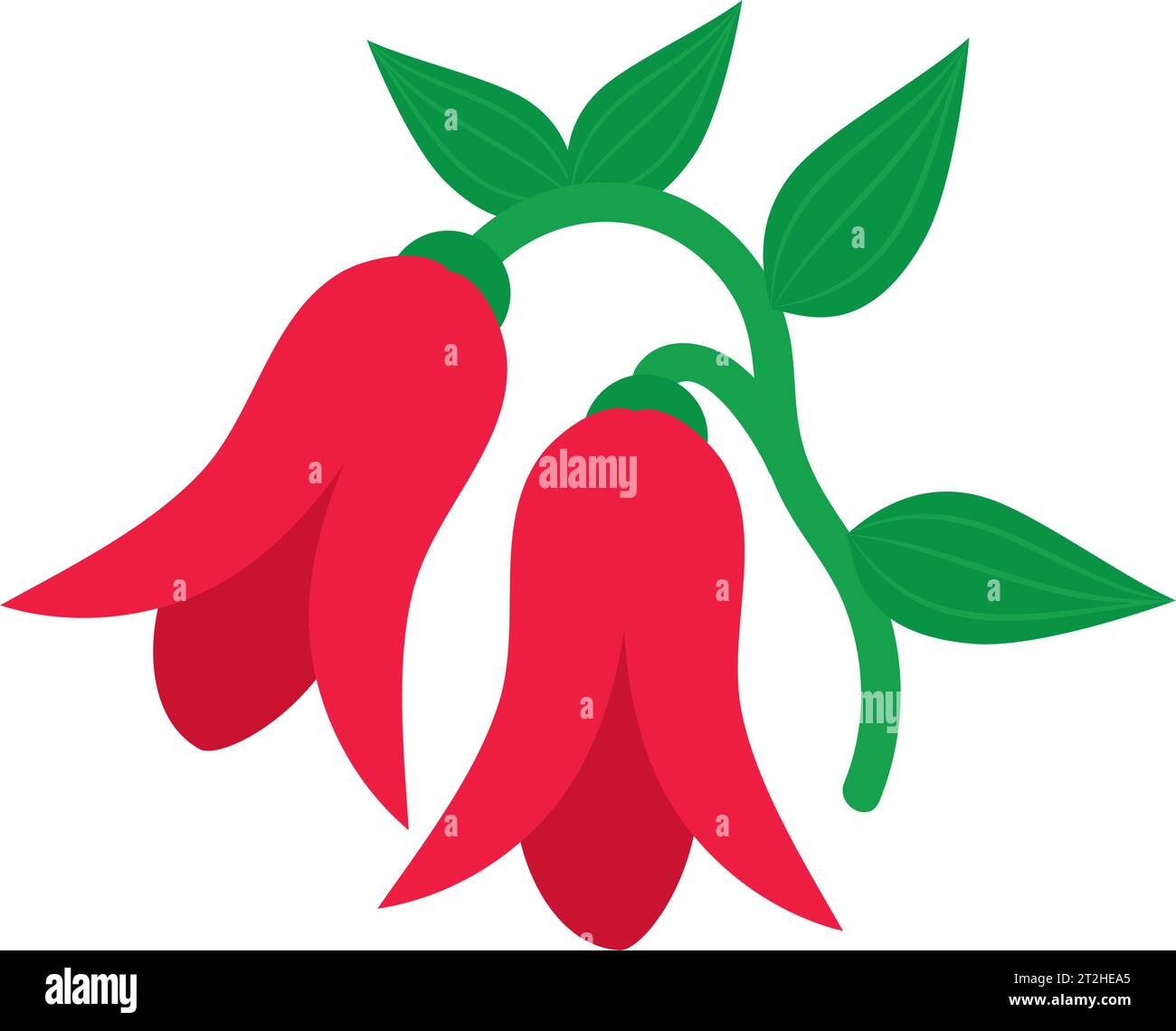 Copihue plant hi-res stock photography and images - Alamy