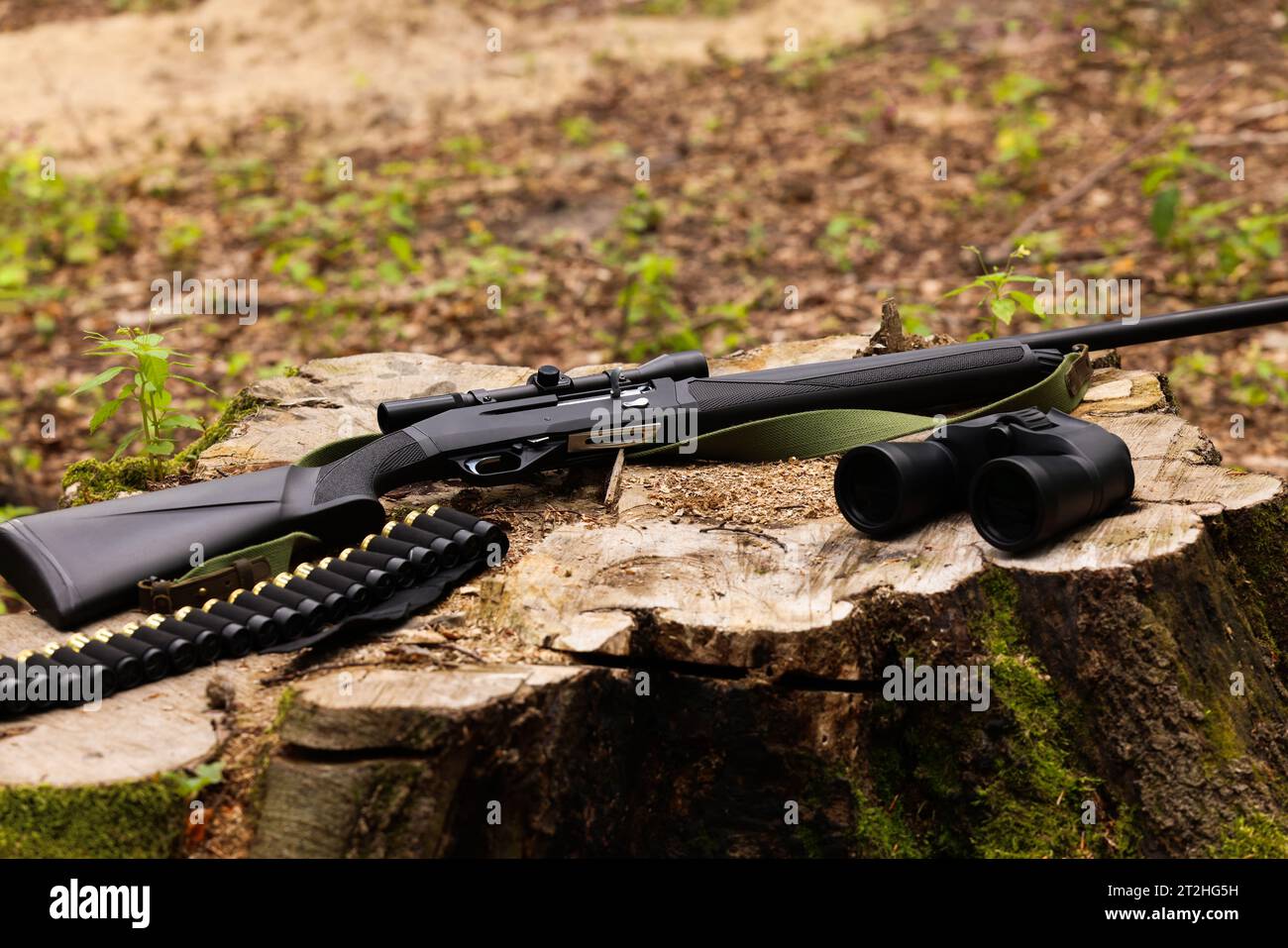 Hunting rifle, cartridges and binoculars on tree stump outdoors Stock ...