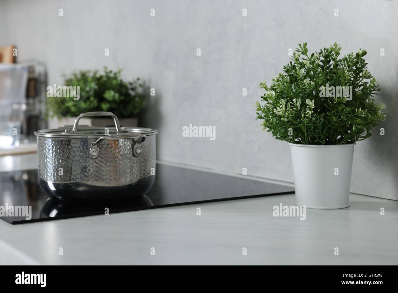 Fake potted plants hi-res stock photography and images - Alamy