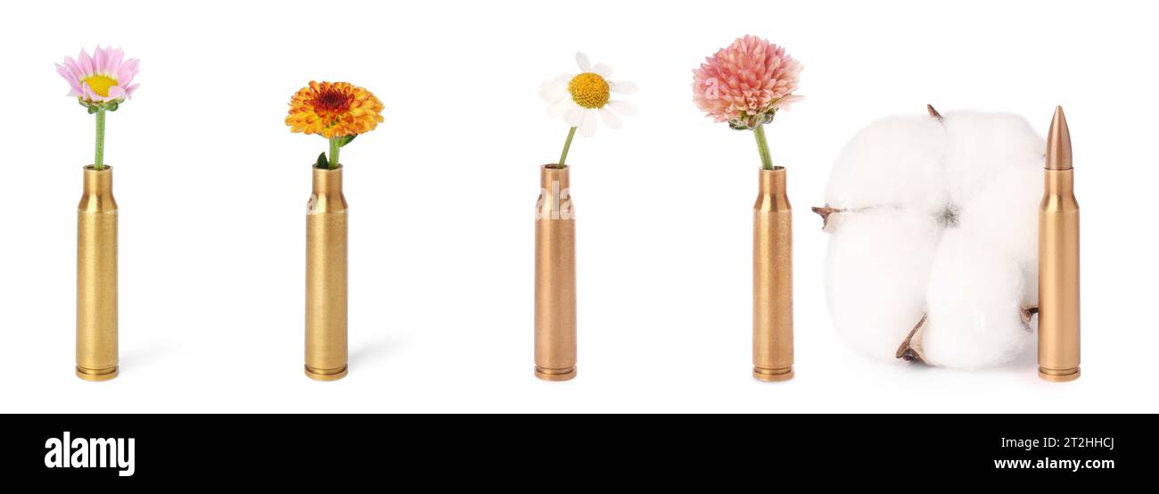 Set of bullets and beautiful flowers isolated on white Stock Photo - Alamy