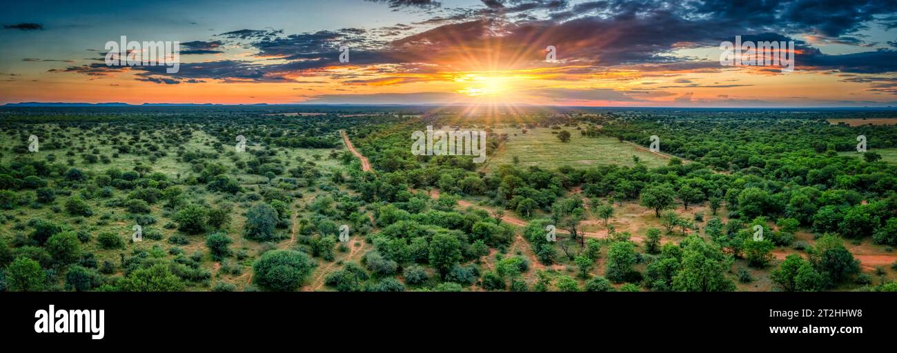 Green African landscape, aerial panorama bush Stock Photo - Alamy