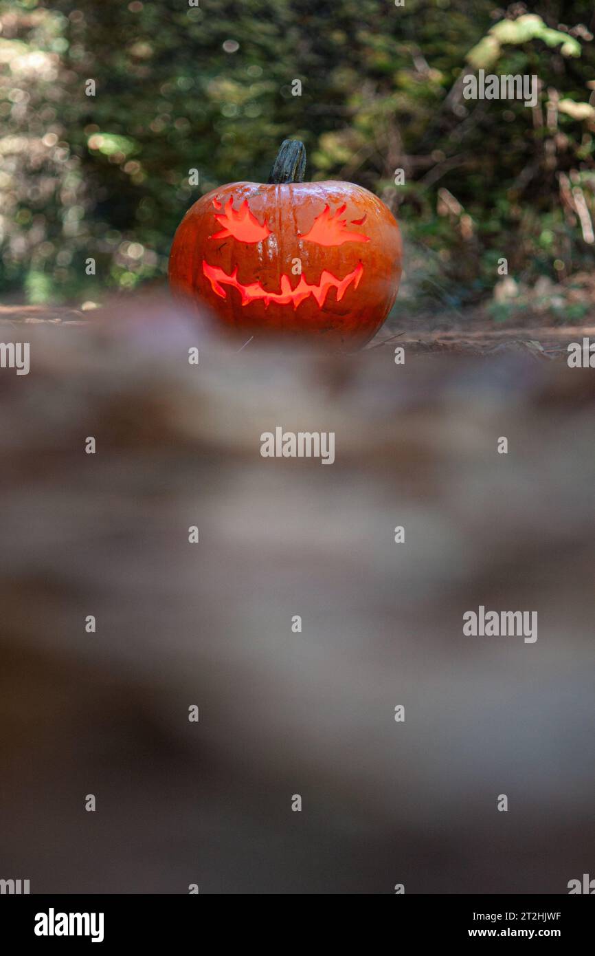 close up of a carved pumpkin for halloween with smoke coming out of the ...