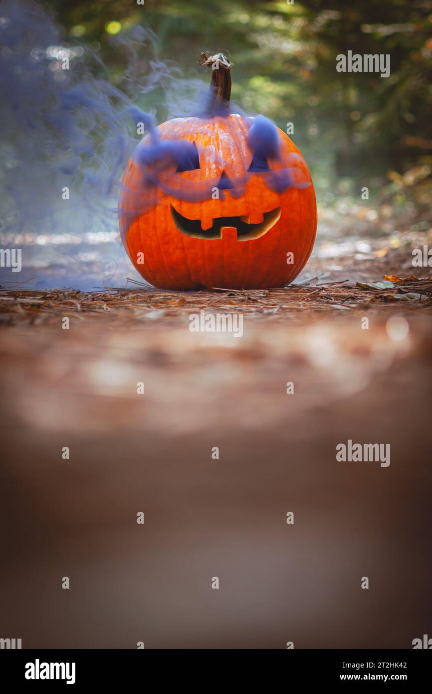 close up of a carved pumpkin for halloween with smoke coming out of the ...