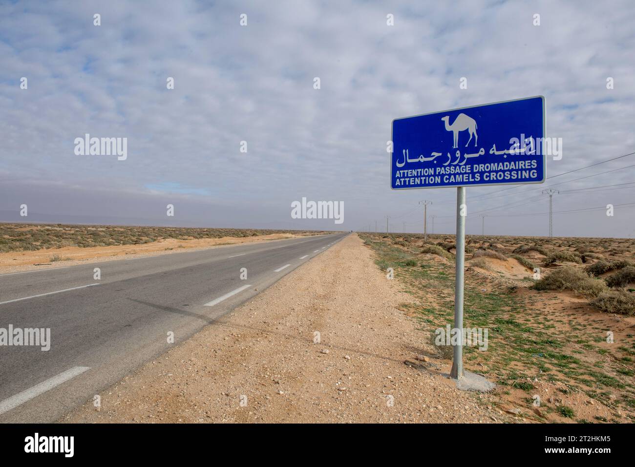 Tunisia, Africa. A camel crossing sign in the desert land of Tunisia ...