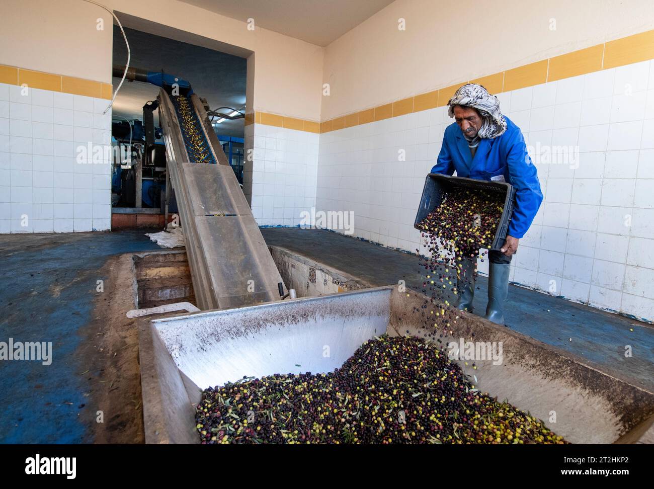 Olive oil factory hi-res stock photography and images - Alamy