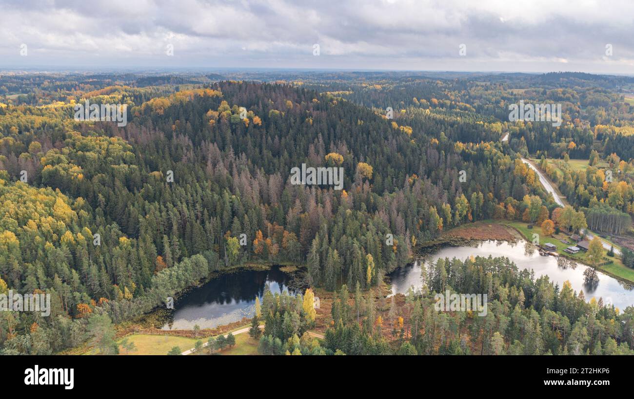An aerial view of a stunning forested landscape in Voru County, Estonia ...