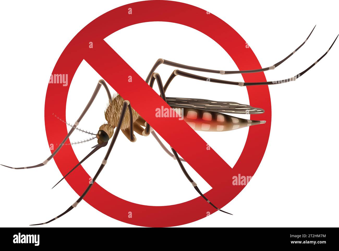 Realistic mosquito in red stop sign epidemic virus prevention concept ...