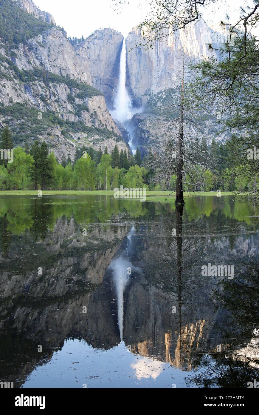 Yosemite Falls vertical - Yosemite National Park, California Stock ...