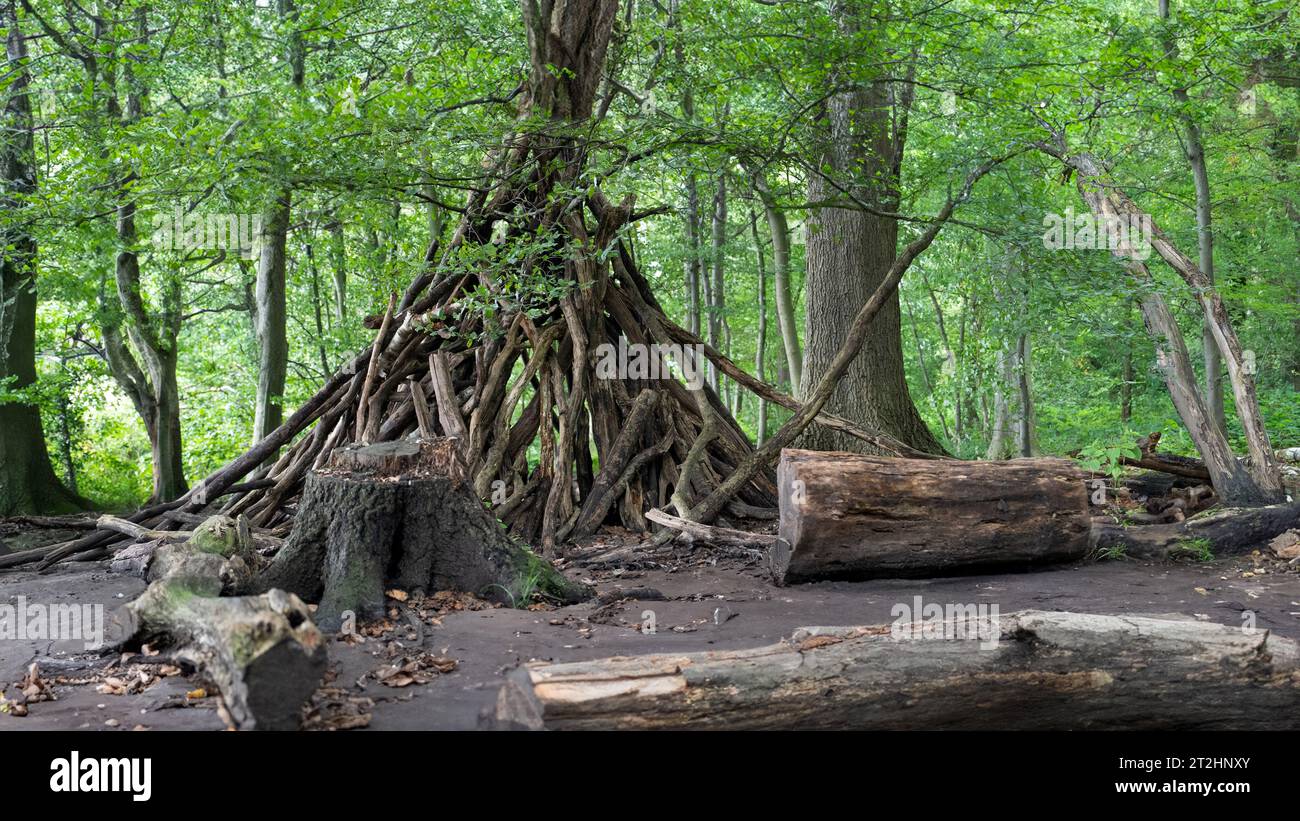 German forest hi-res stock photography and images - Alamy