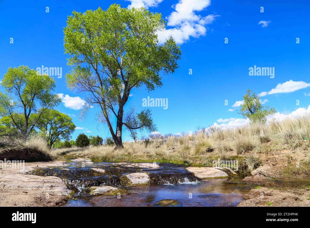 Stream of water. The San Pedro River Basin in the Rancho Los Fresnos of ...